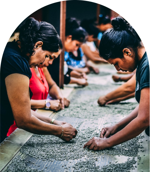 Reliance Life Investment