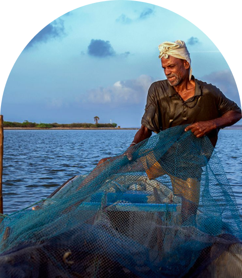 Reliance Life Investment